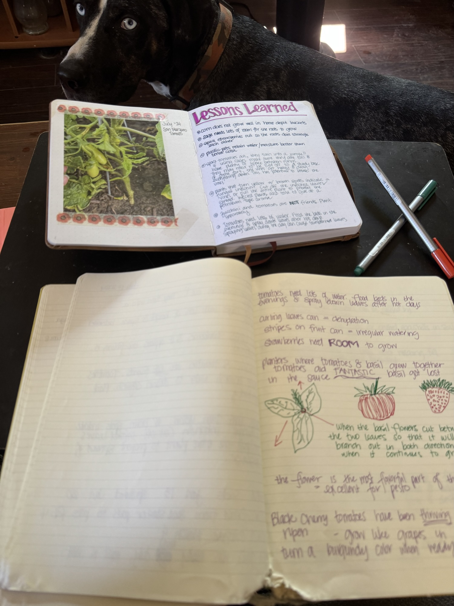 Digital Garden Journaling: Why Now? – Lo’s Gardening Adventures and ...